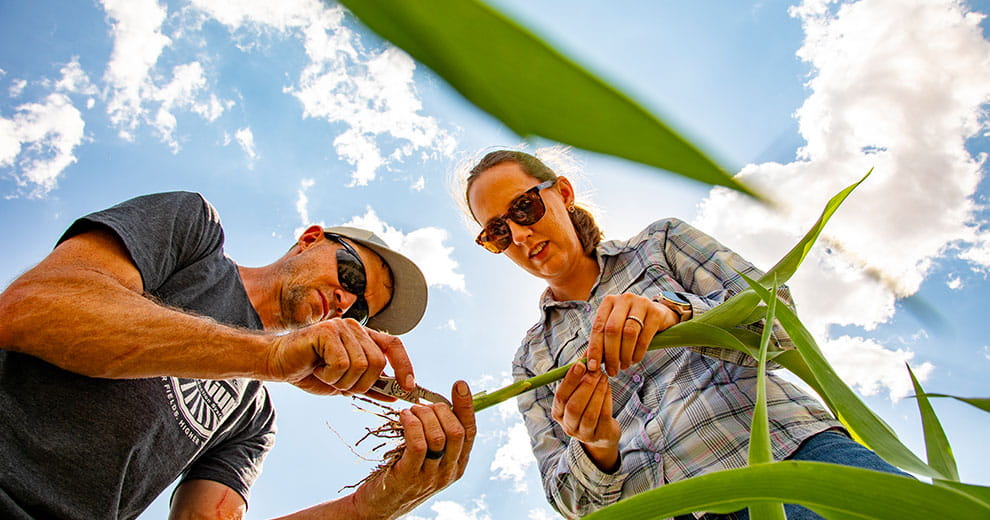 Nominating committee | CHS Inc.