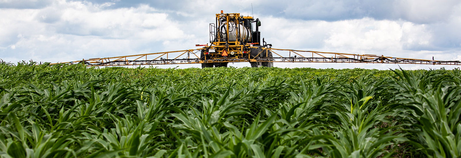 CHS Connect | CHS Inc.