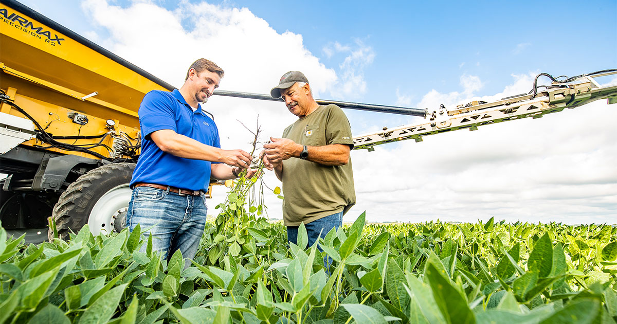 Agronomy services and crop solutions | CHS Inc.