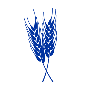 Liquid AMS conditions water for better herbicide activity | Agronomy