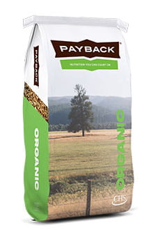 Organic egg layer pellet for laying hens | Payback Nutrition