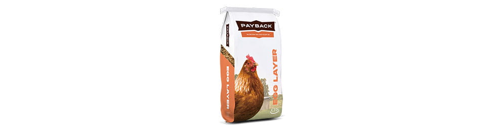 Egg Layer Concentrate for custom feed mixes | Payback Nutrition
