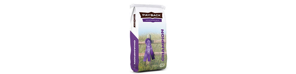 Champion Power Booster feed for show animals | Payback Nutrition
