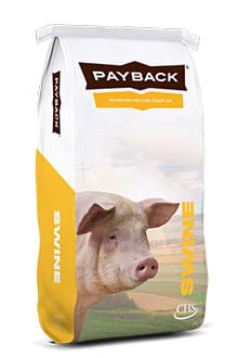 Complete Breeder feed for swine reproduction | Payback Nutrition