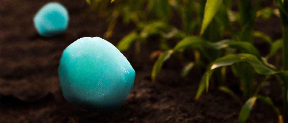 Nitrogen management solutions for 2023 | Agronomy